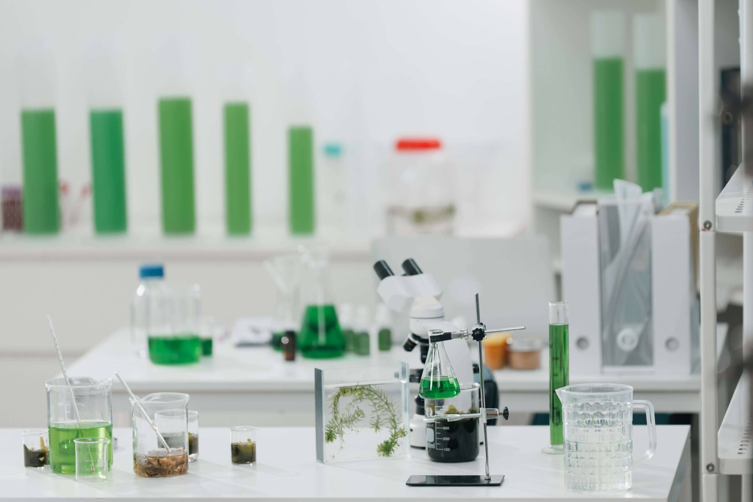 The Future of Material Science: Replacing Plastics with Biopolymers ...